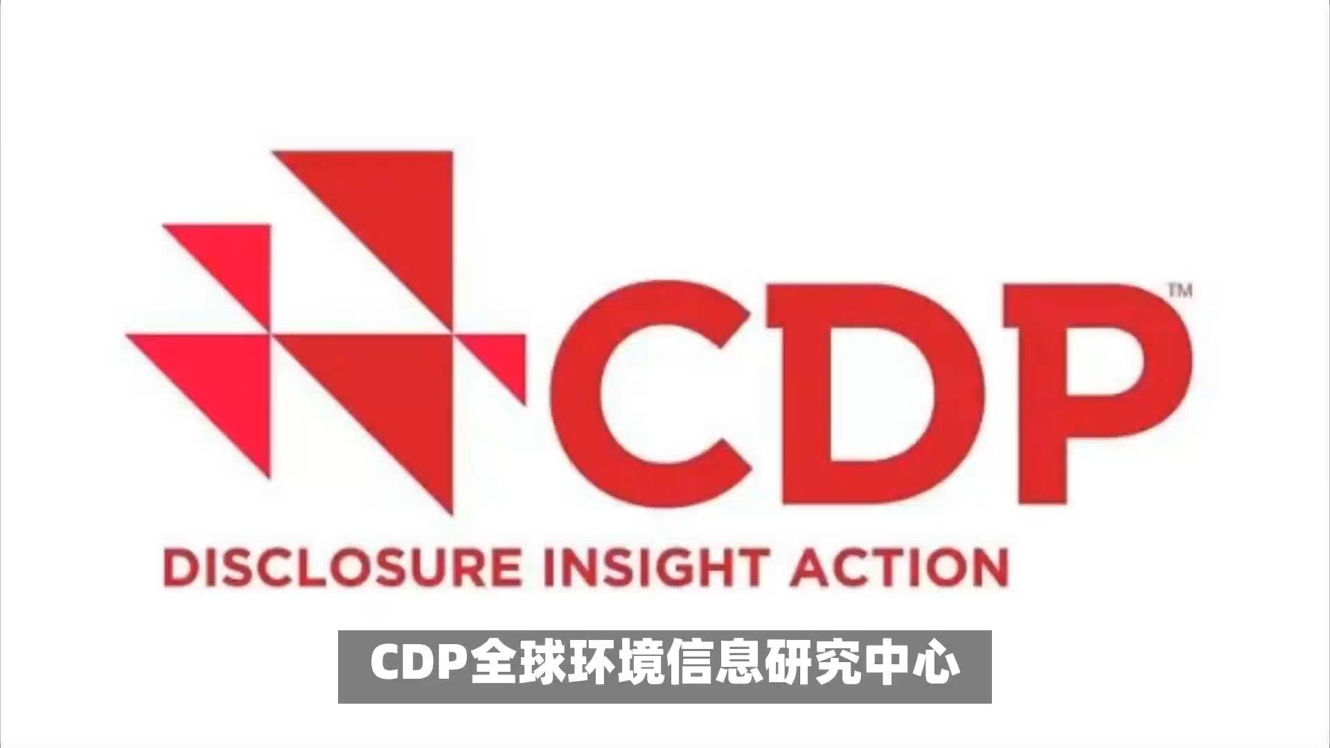 CDP碳披露等级 CDP优势及流程