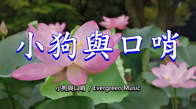 小狗與口哨(小狗与口哨)