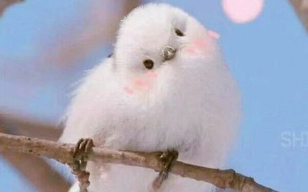 新手不会寄挂号信?看这个你就懂了!