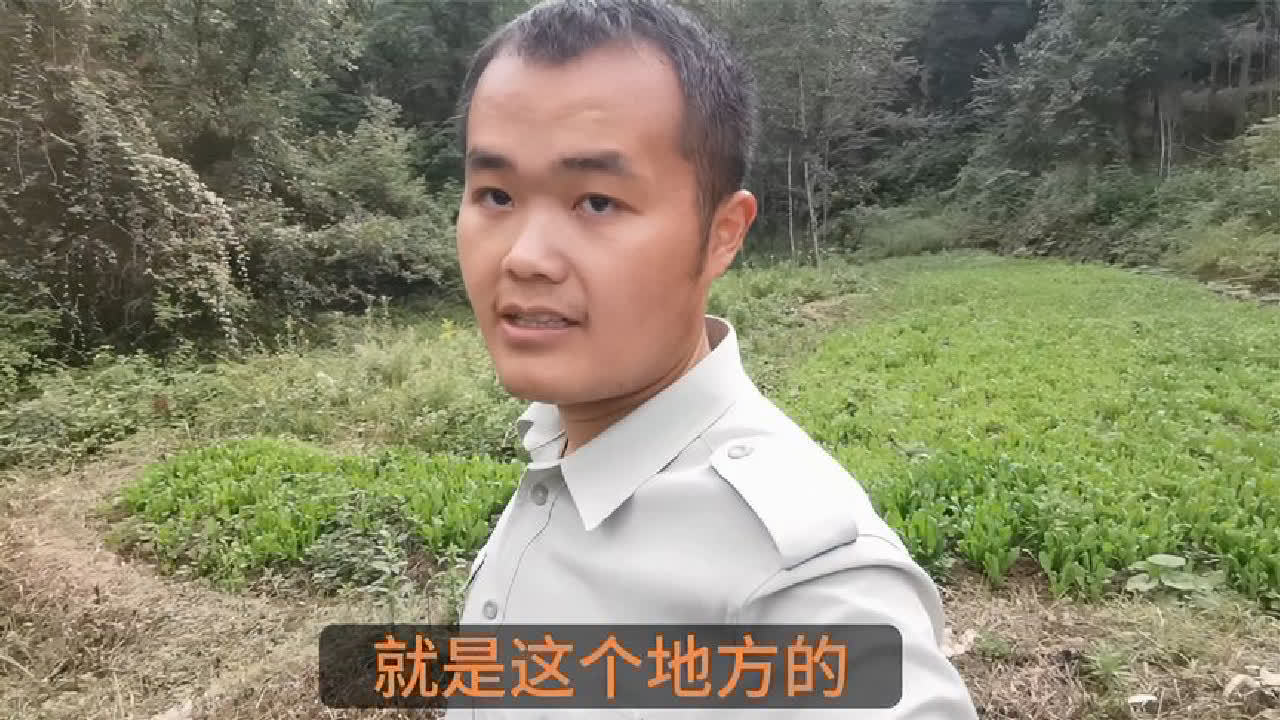 山里开荒种植计划效果初显,看看2个月不到的变化,满满的成就感