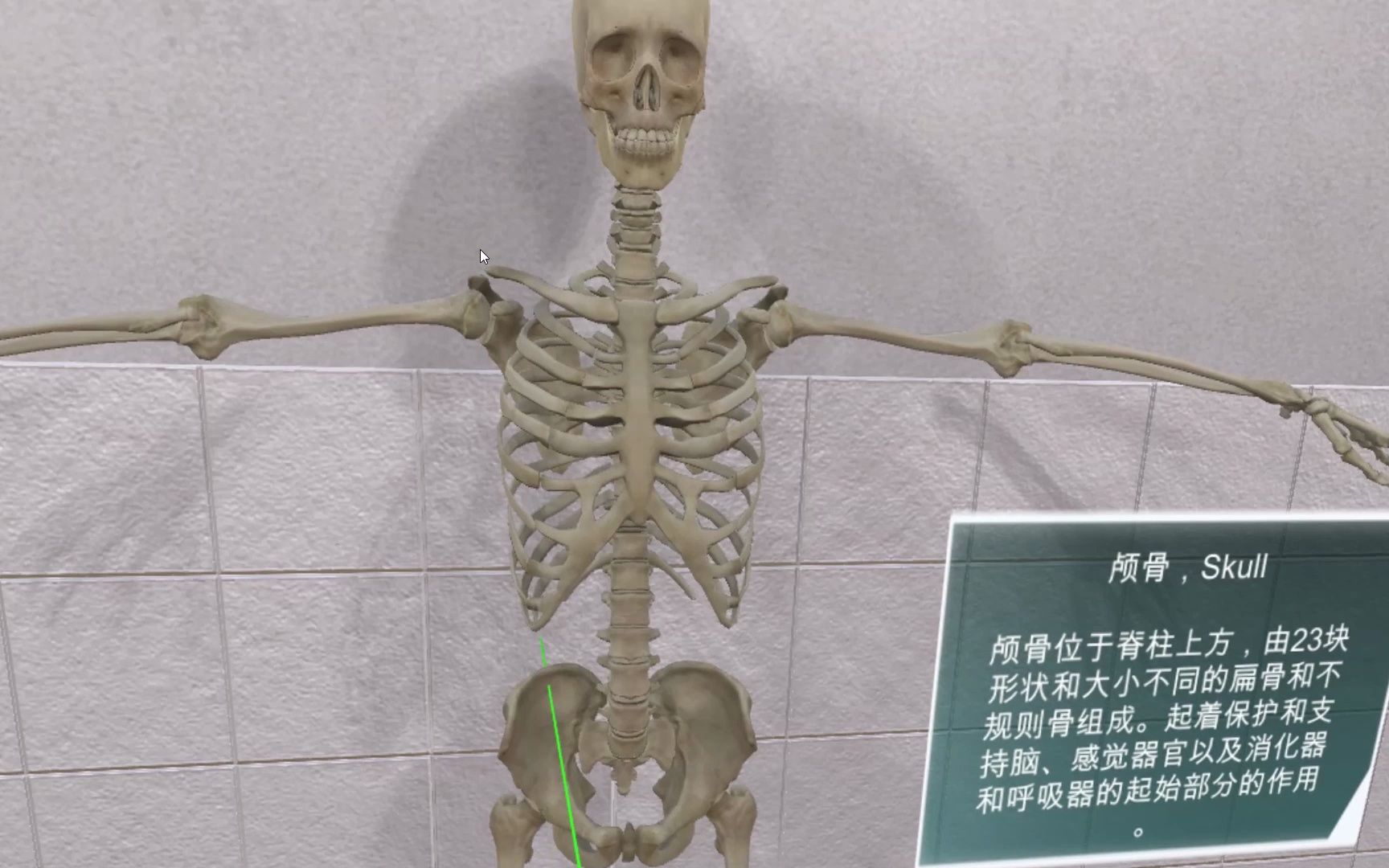 基于unity虚拟现实技术的人体解剖系统