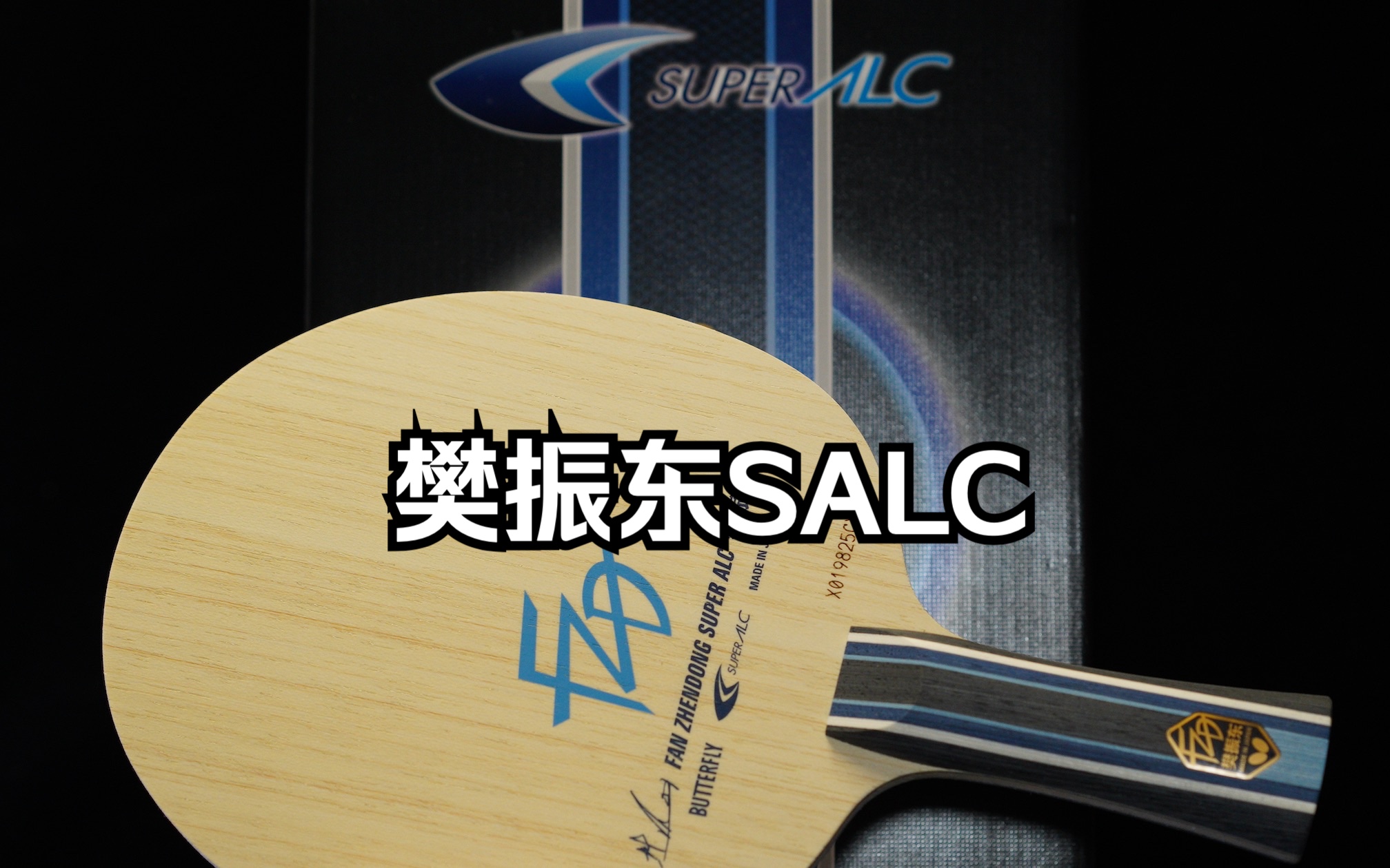 《胡测小报告》本期主角“蝴蝶樊振东Super ALC