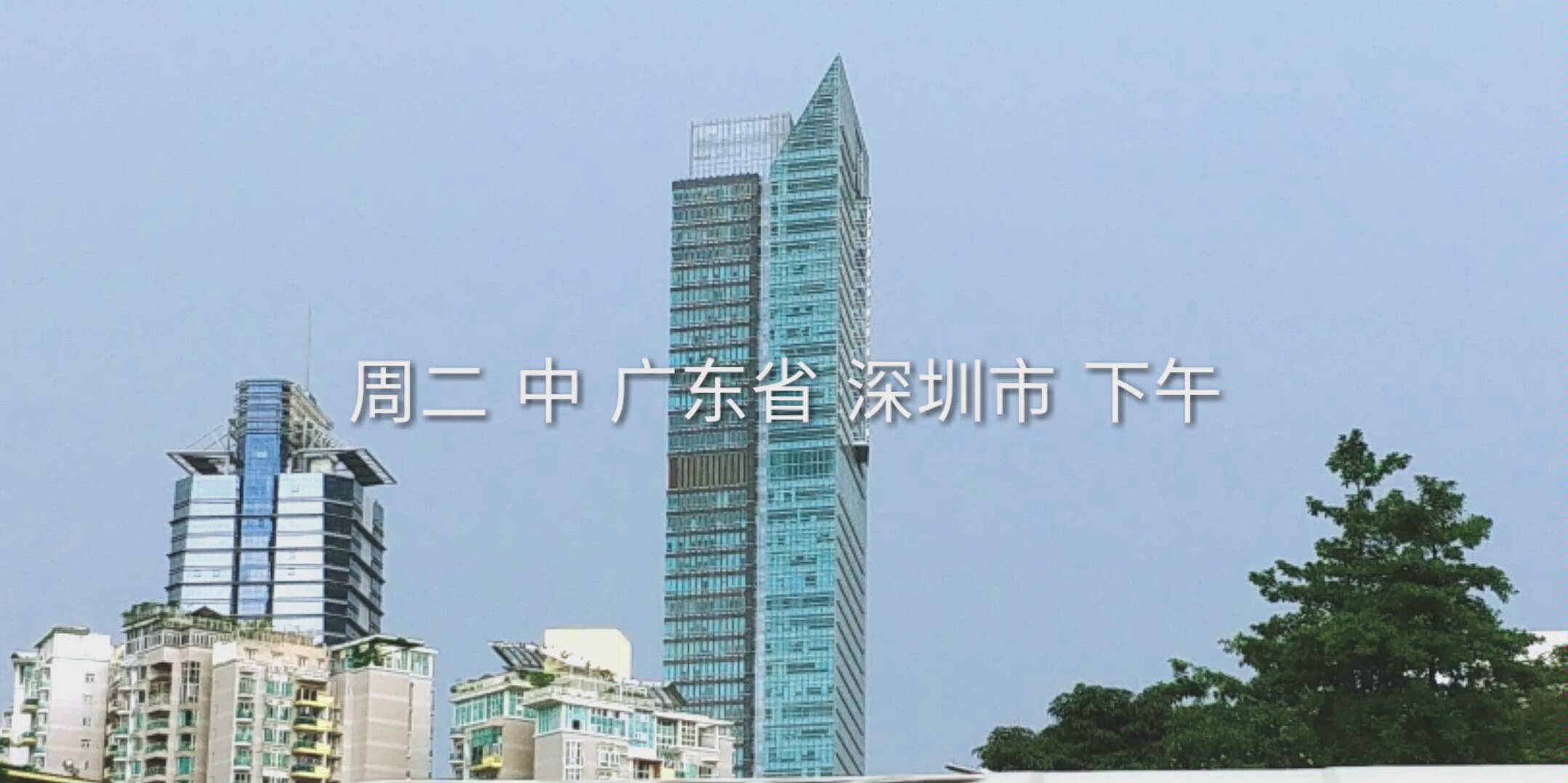 深圳红树林湿地公园