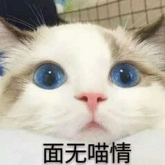 荼靡嗷嗷 