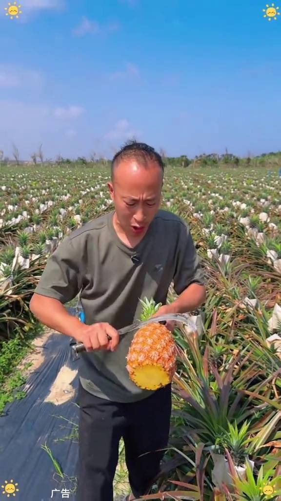 吃凤梨啦#海南金钻凤梨 #新鲜应季水果 #口感特别好 #x