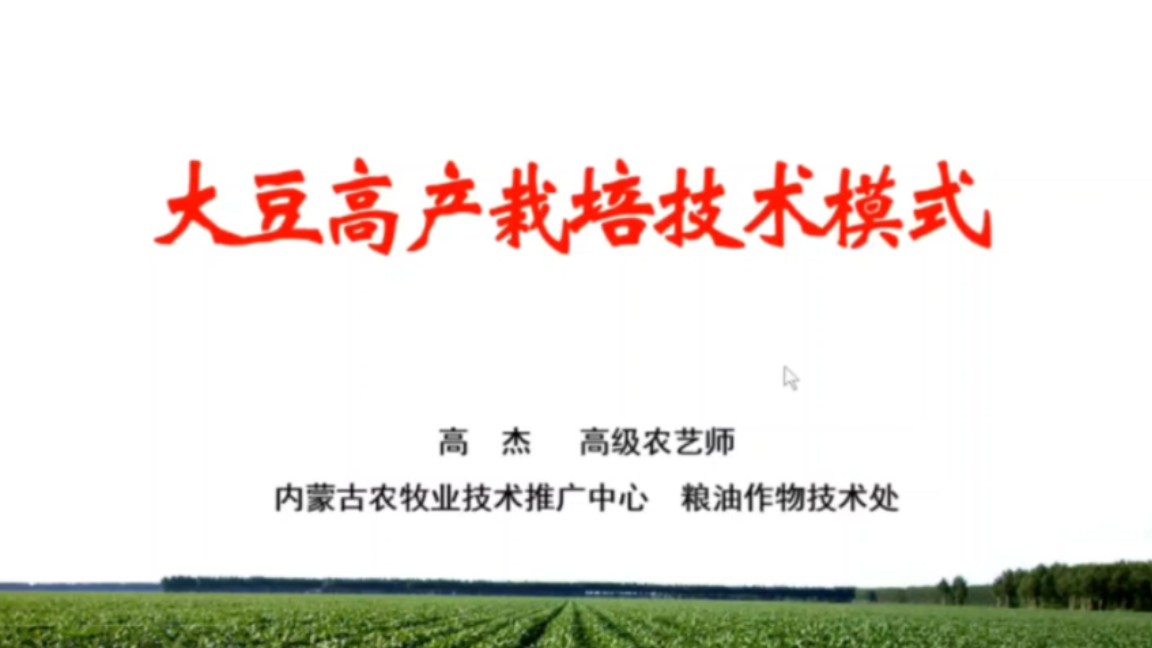 大豆高产栽培技术模式