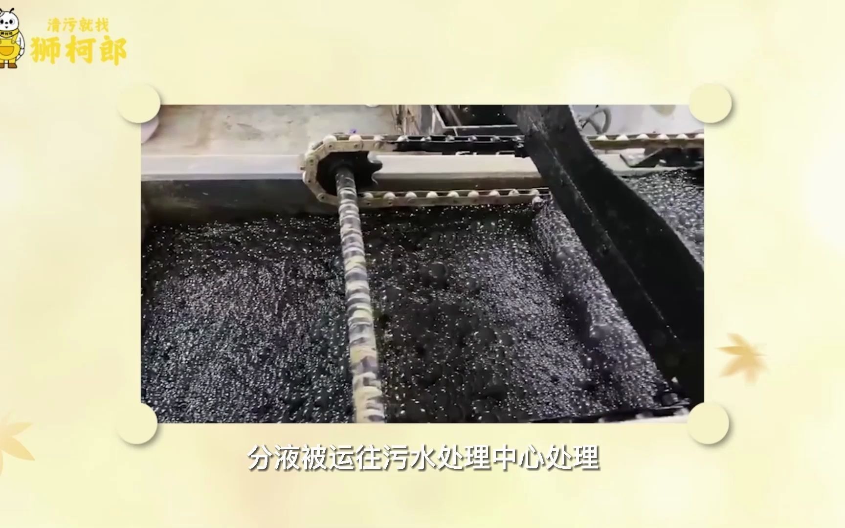 看完已惊呆!狮柯郎清污服务大自然的清道夫:人类每天排出接近400吨...