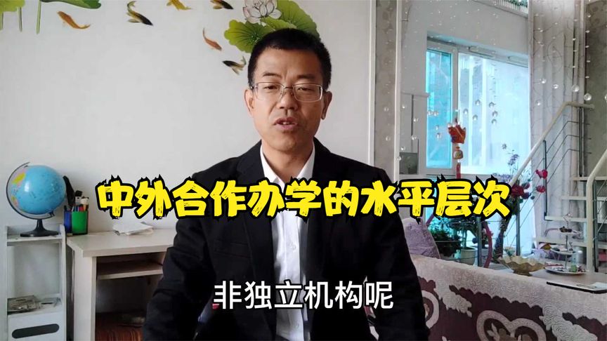 中外合作办学的优势与分类,独立法人高校可以分几个层次