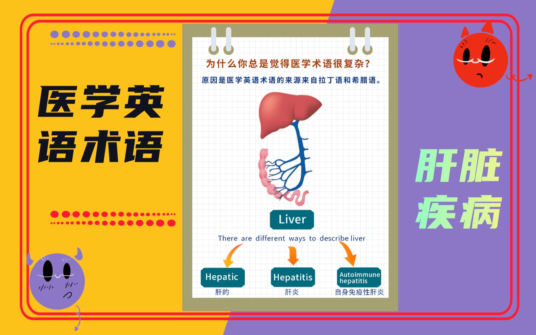 医学英语:与各种肝病相关的医学英语术语