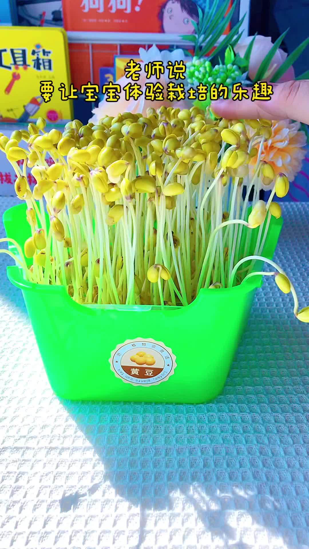 和孩子一起体验种植的乐趣吧,观察植物的生长过程,培养孩子的耐心和...