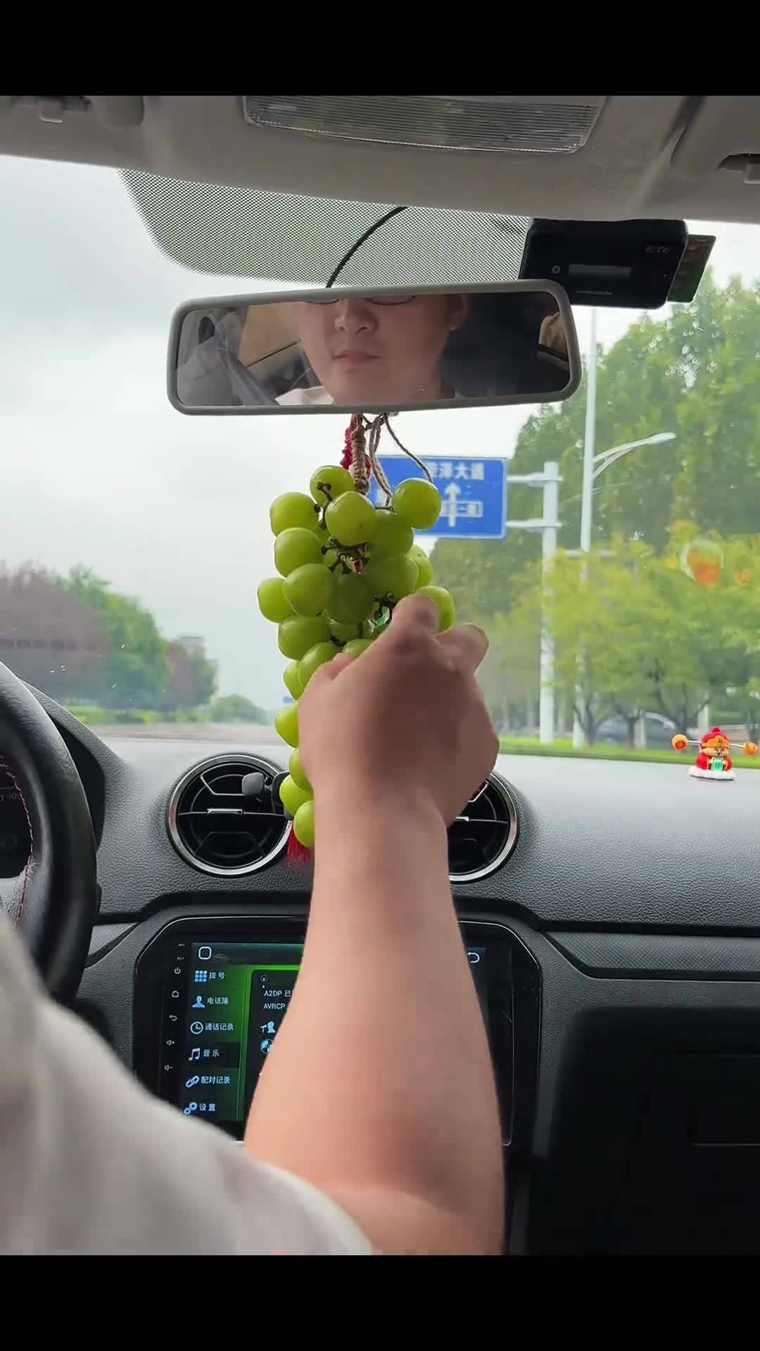 生活:食用级车载挂件