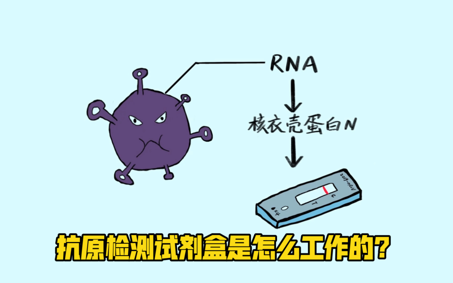 【生物学科普视频】抗原检测试剂盒是怎么工作的?知道什么是抗体的...