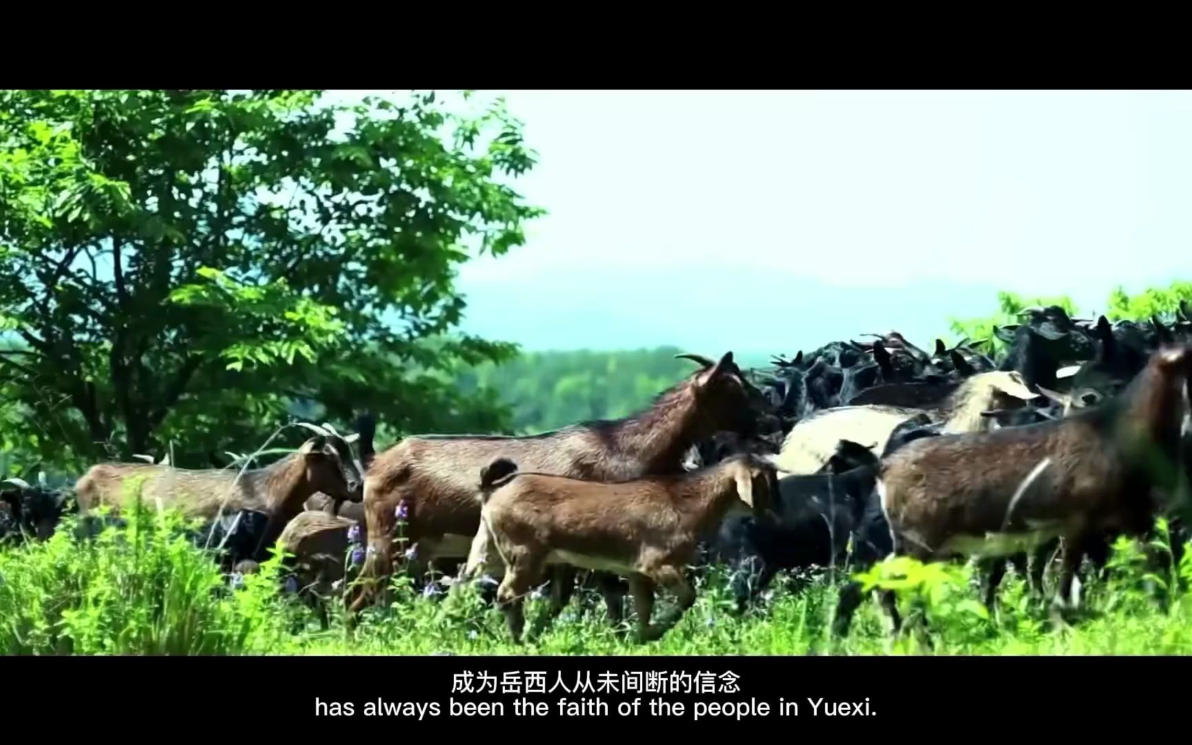 安徽岳西县生物多样性保护与共同富裕