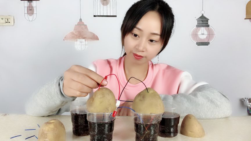 妹子试玩“科学小实验”,自制土豆电池,土豆也能点亮灯泡吗?