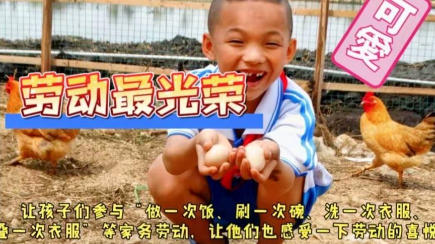 劳动教育是人生的一门必修课,快让你的孩子动起手来!