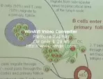 12 T细胞介导的细胞免疫应答