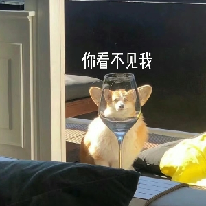 卷王之王卷翻天