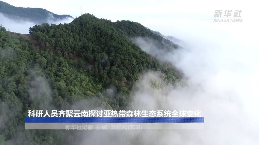 科研人员齐聚云南探讨亚热带森林生态系统全球变化