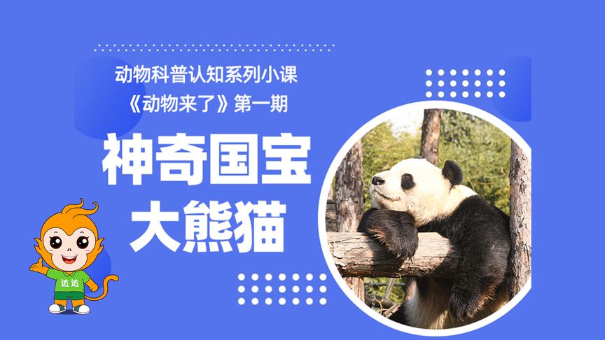 《动物来了》第一期之神奇国宝大熊猫