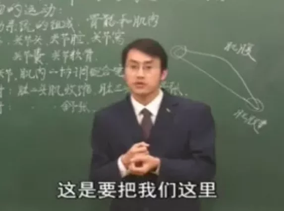 人教生物8上-动物的运动和行为_2BD3