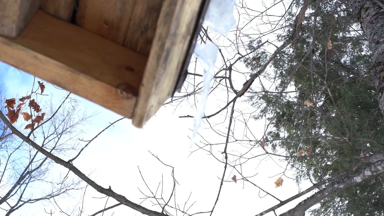 野火,雪地,偏远荒野小屋的召唤Call of the Wild Fire, Snow, Remote ...