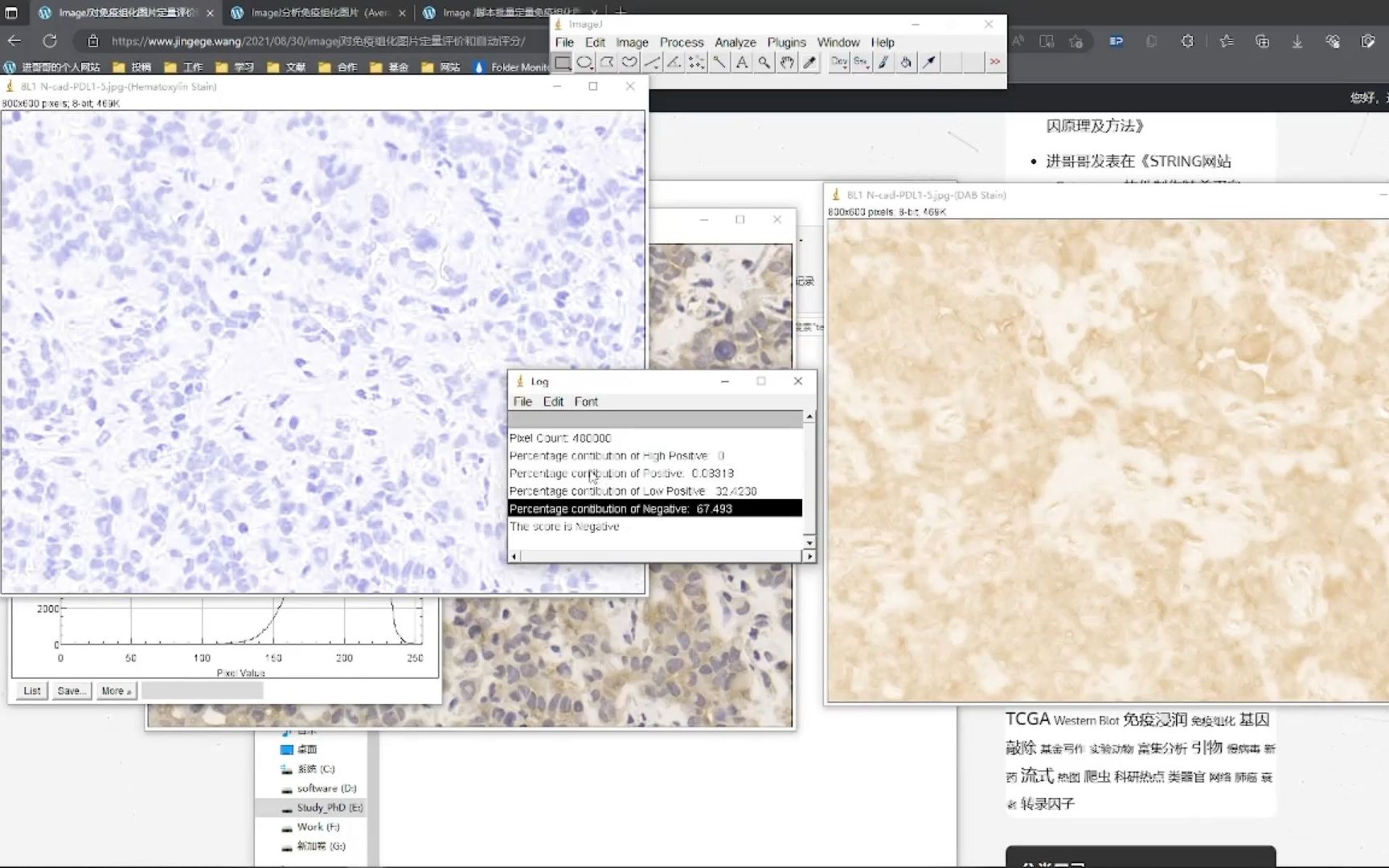 如何用ImageJ对免疫组化进行半定量分析(AOD计算&IHCprofiler)