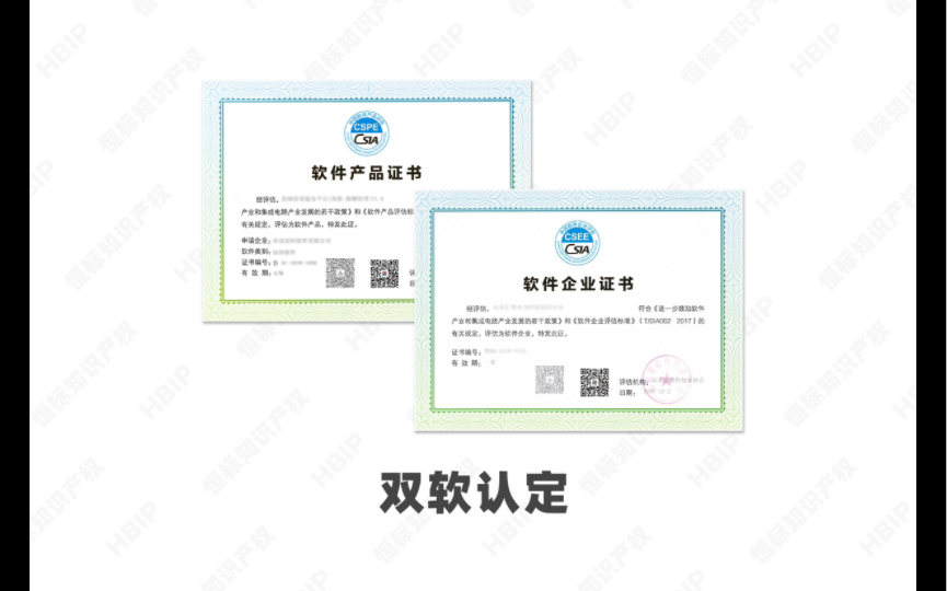 双软企业认定,软件企业起步阶段的必须知识