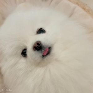 数学专业老姐姐在讲课 