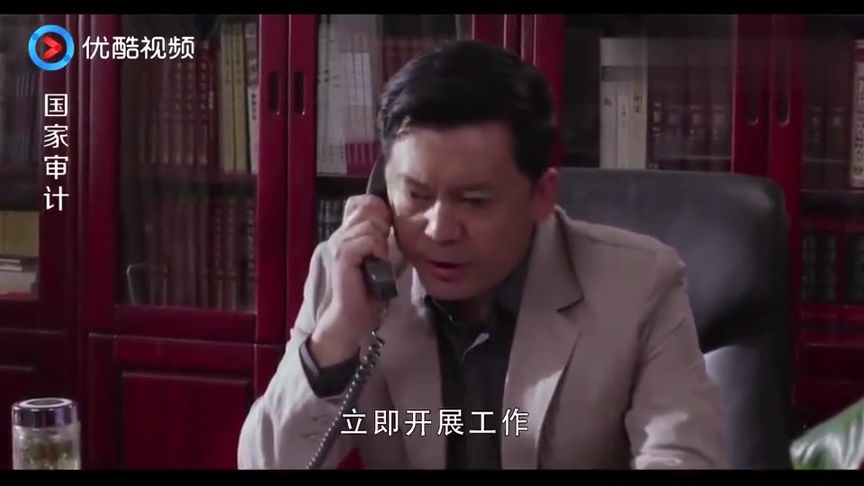 影视:审计组去而复返,局长电话吃了定心丸:没有鬼就不怕我们查