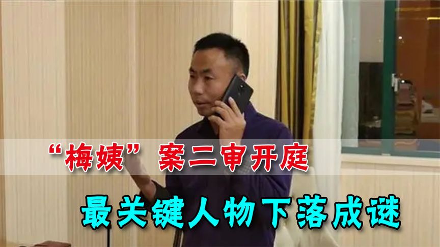 “梅姨”案二审开庭,2名主犯会维持死刑吗?最关键人物下落成谜