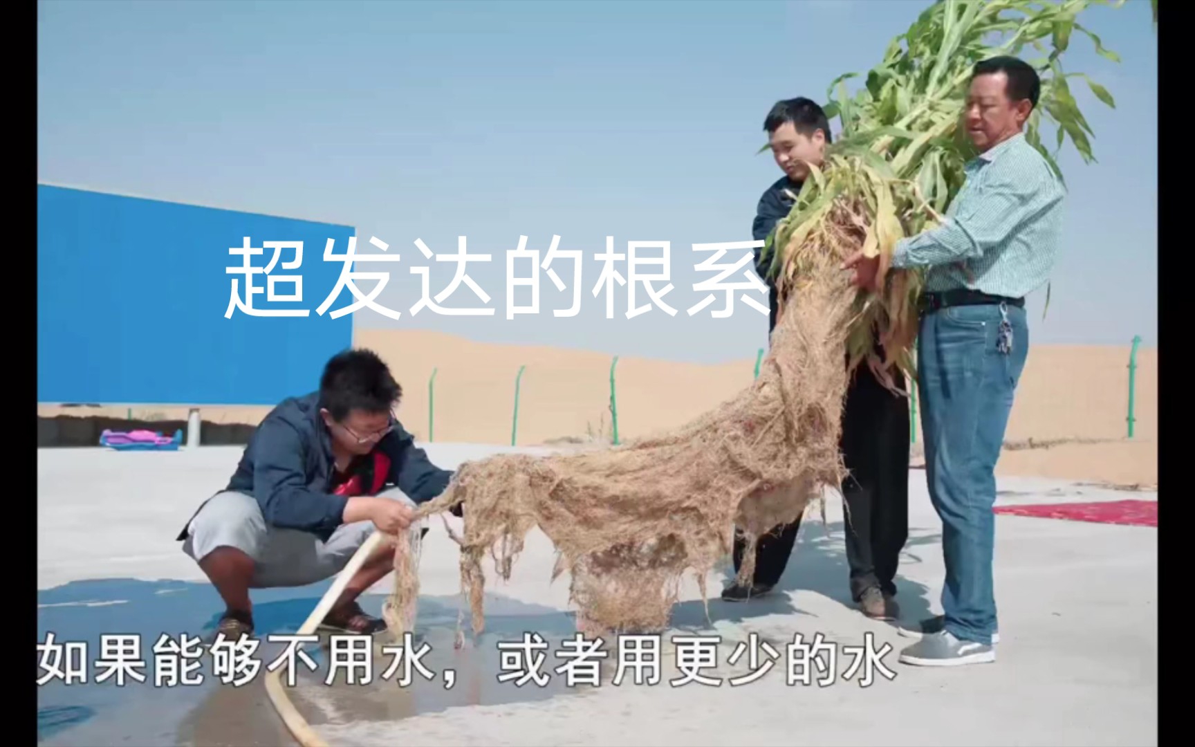 有必要把沙漠变成绿洲吗?是否所有的沙漠都不能人为干预呢?