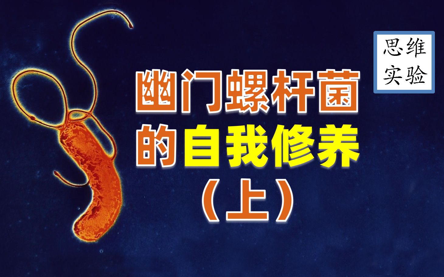 它是一级致癌物,却与人类共生 幽门螺杆菌(上)【思维实验室】45期