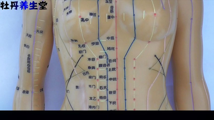 期门穴功效:疏肝利气活血。每天按摩可治疗胸胁痛,吞酸等疾病