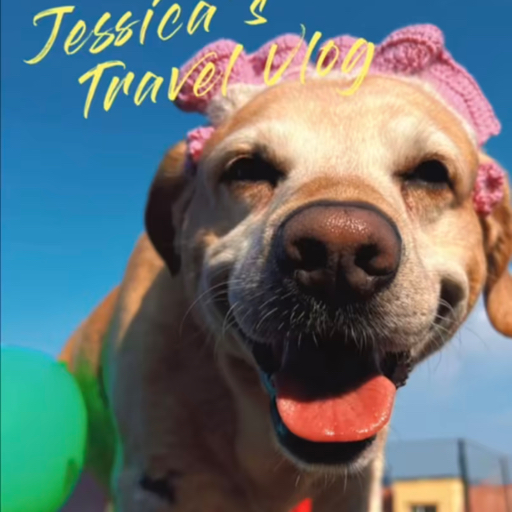 番茄番茄你个西红柿- 