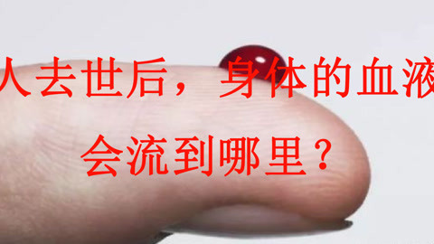 科普一下:人死亡后,身体里流淌的血液都跑去哪里了?