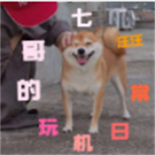七哥的玩机日常
