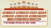 2019全国两会:中国梦·加速度 两会百科 全国人民代表大会的立法程序