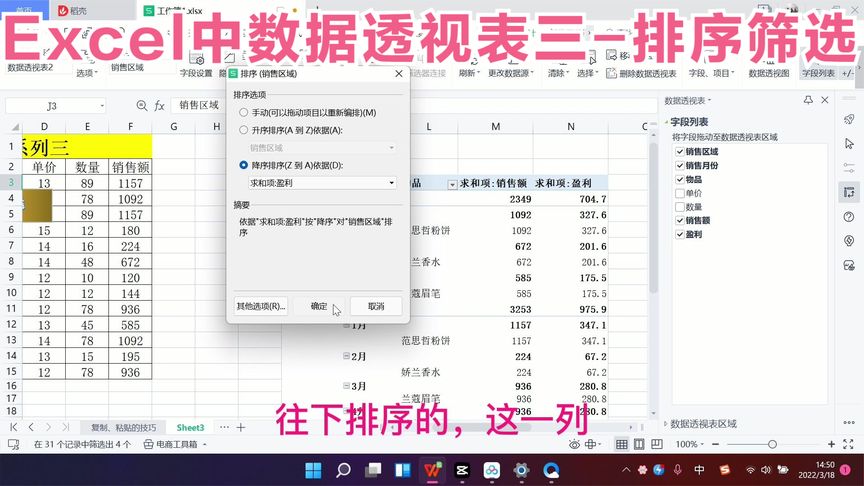 Excel中数据透视表三-排序和筛选.mp4