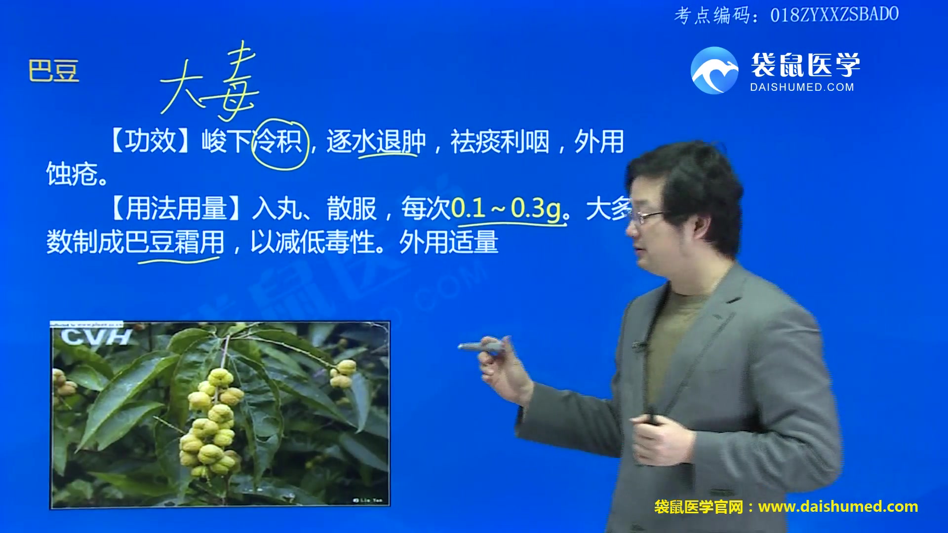 【袋鼠识中药】每天认识一味药——巴豆