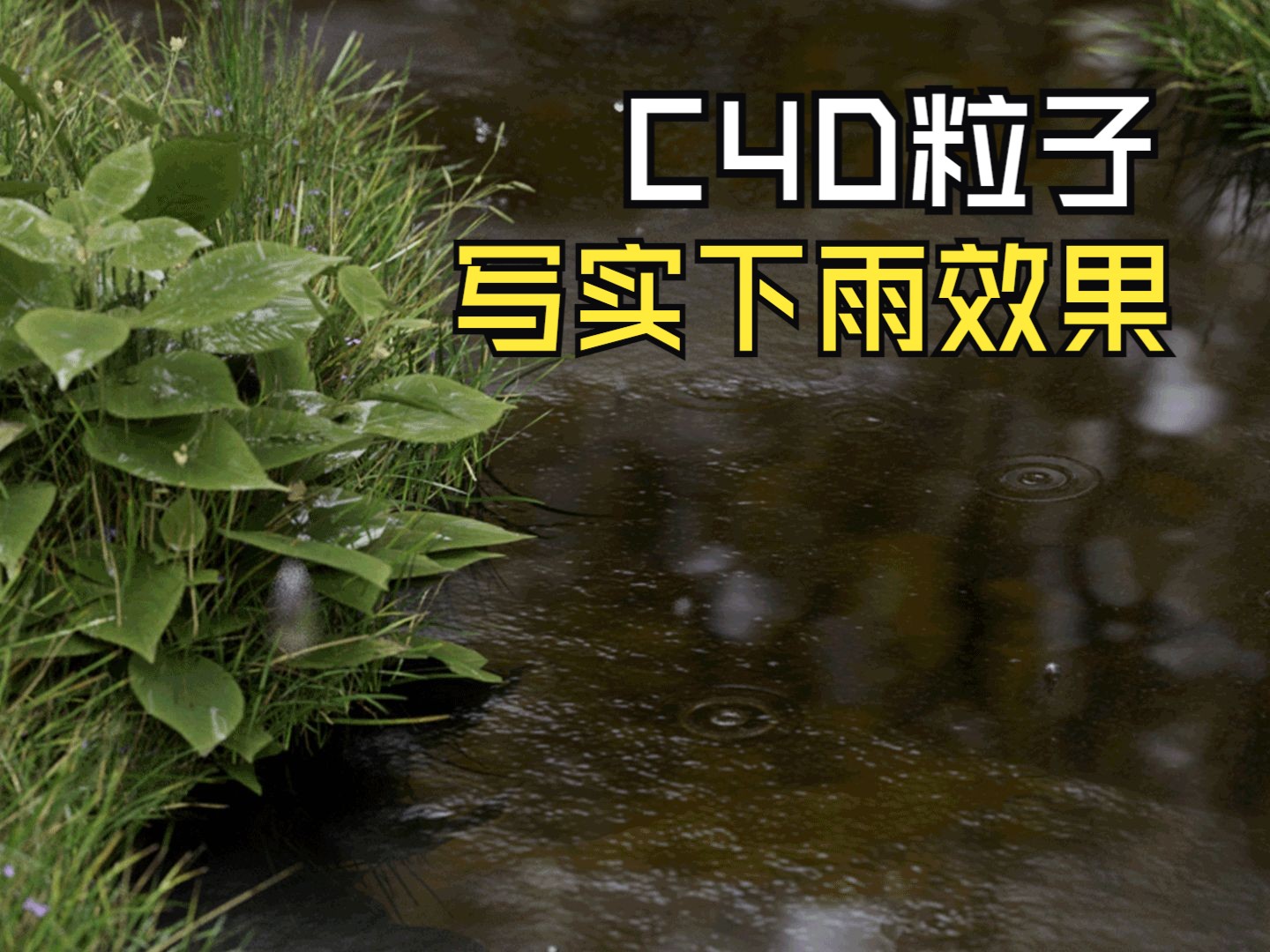C4D 2024.4.0粒子制作真实的下雨动画效果