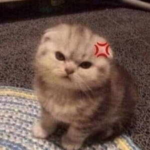 改成叫什么好呢 