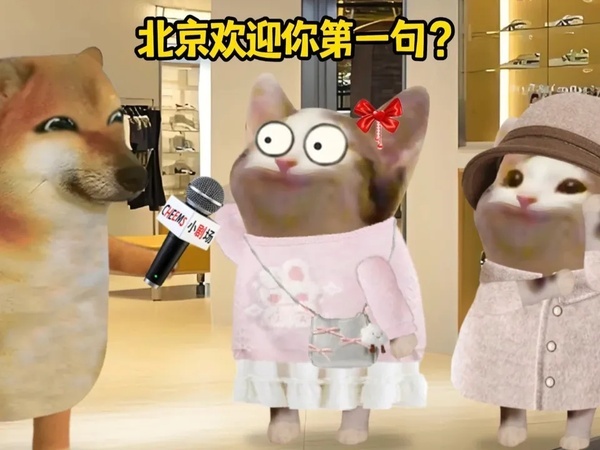 北京欢迎你第一句歌词是什么(原声大大 )#cheems #街头采访
