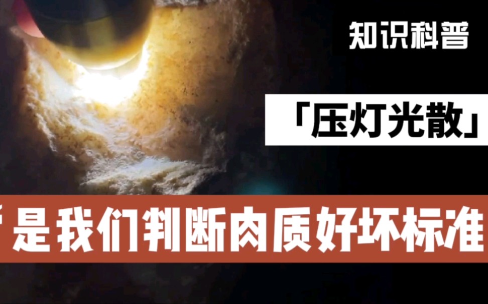 翡翠原石科普:压灯光感聚散程度,是我们判断玉肉种质好坏标准?