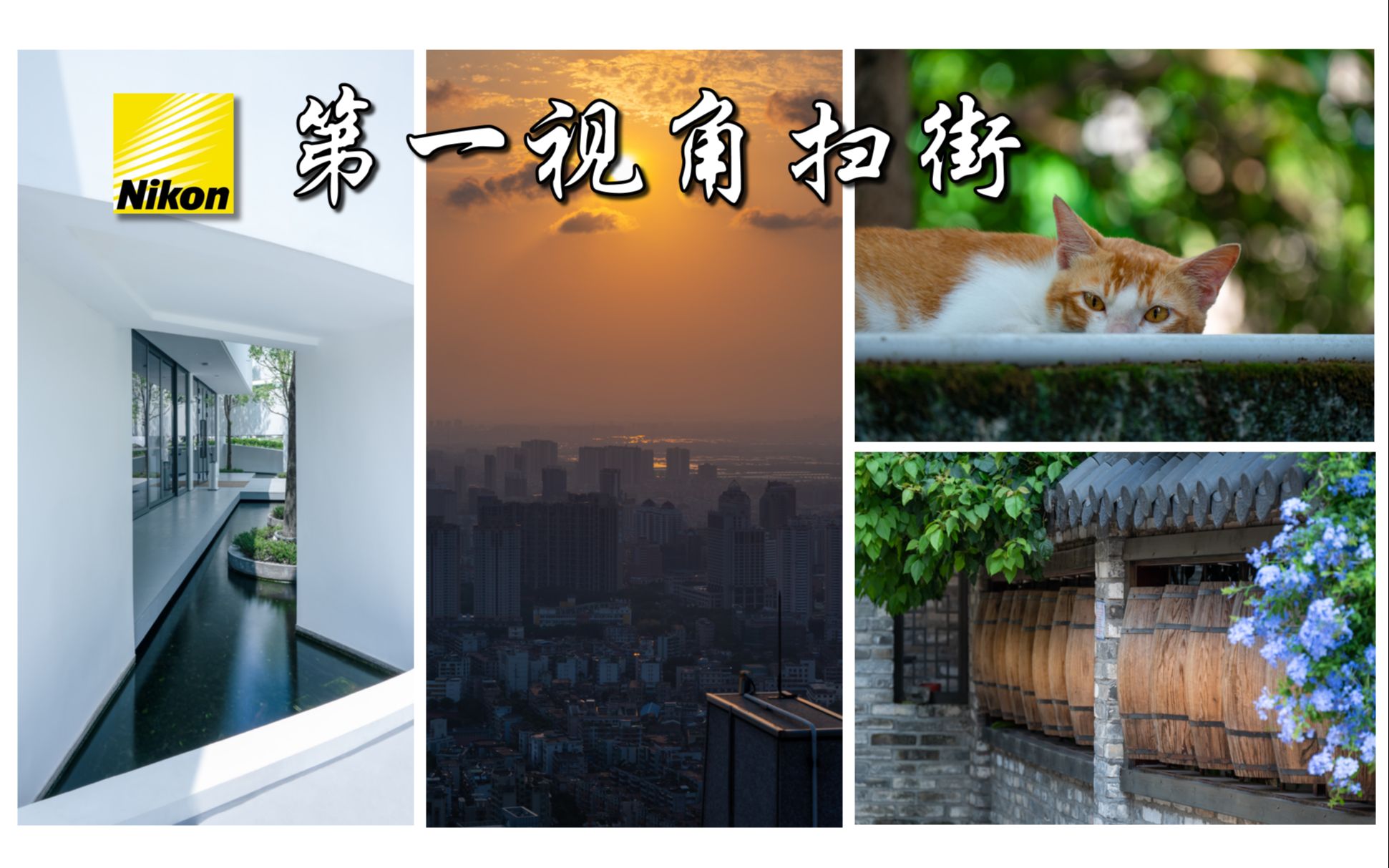 【第一视角扫街】中山的秘密花园丨三溪村丨希尔顿丨尼康Z62+24200