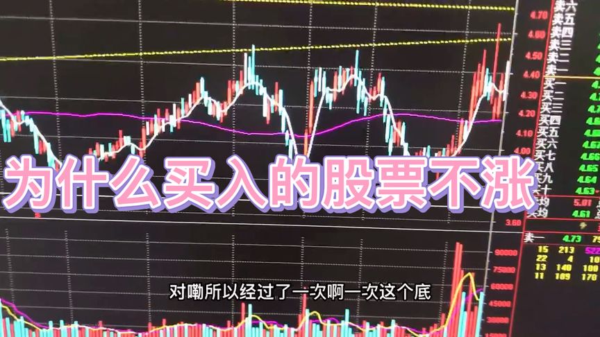 为什么买入的股票一直不涨的原因