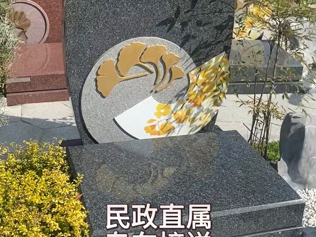 ...专车接送,30分钟车程,集以生态葬为代表的特色服务与孝道文化于一身