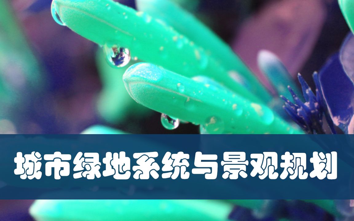 城市绿地系统与景观规划