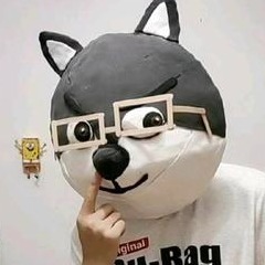 一颗小石头