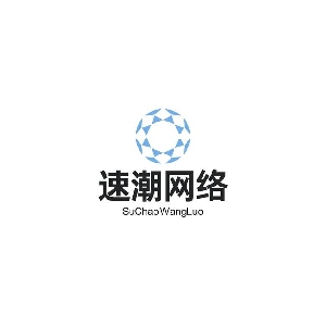 速潮网络 