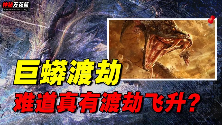 95年安徽巨蟒事件,一道闪电从天而降,千年蛇精到底是真是假!
